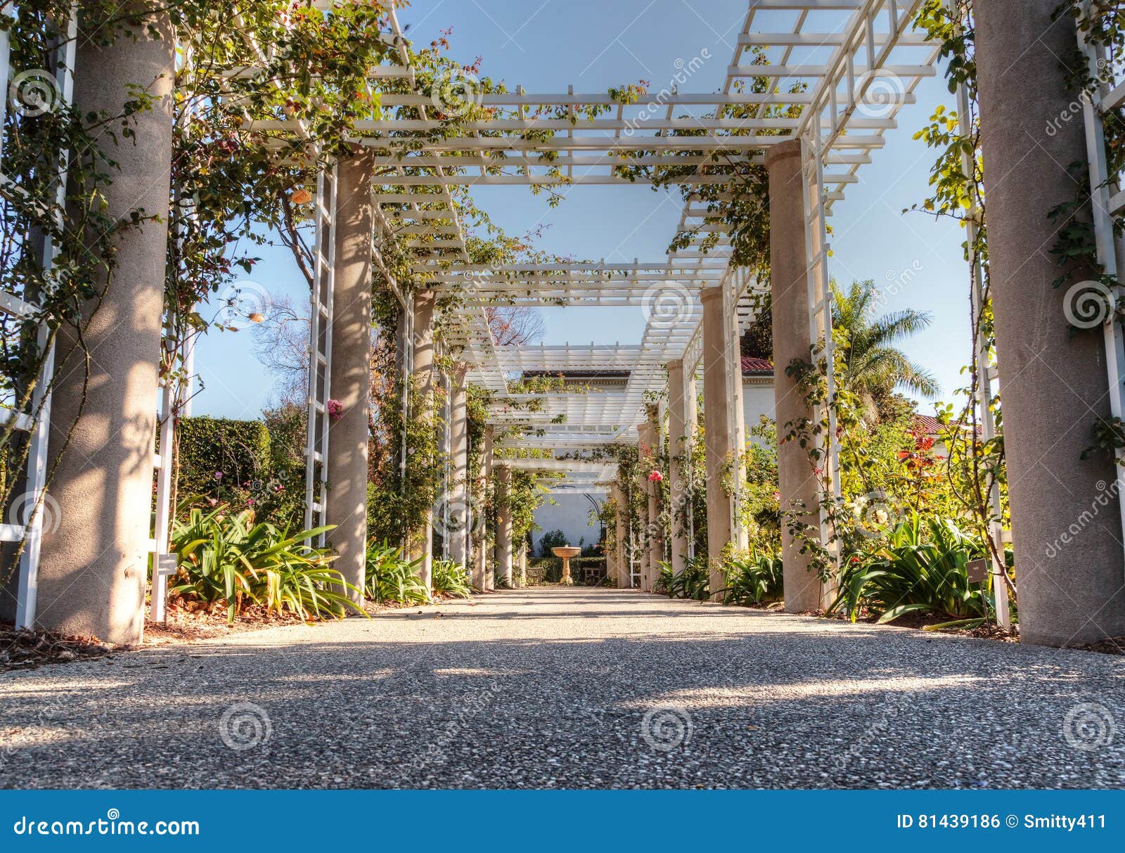 Rose Garden Trellis Path with Rose Vines Stock Photo - Image of garden ...