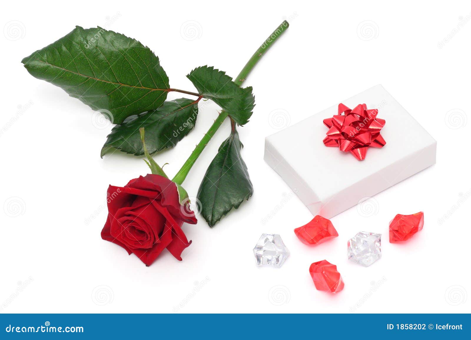 Rose and gift stock photo. Image of festive, give, decoration - 1858202