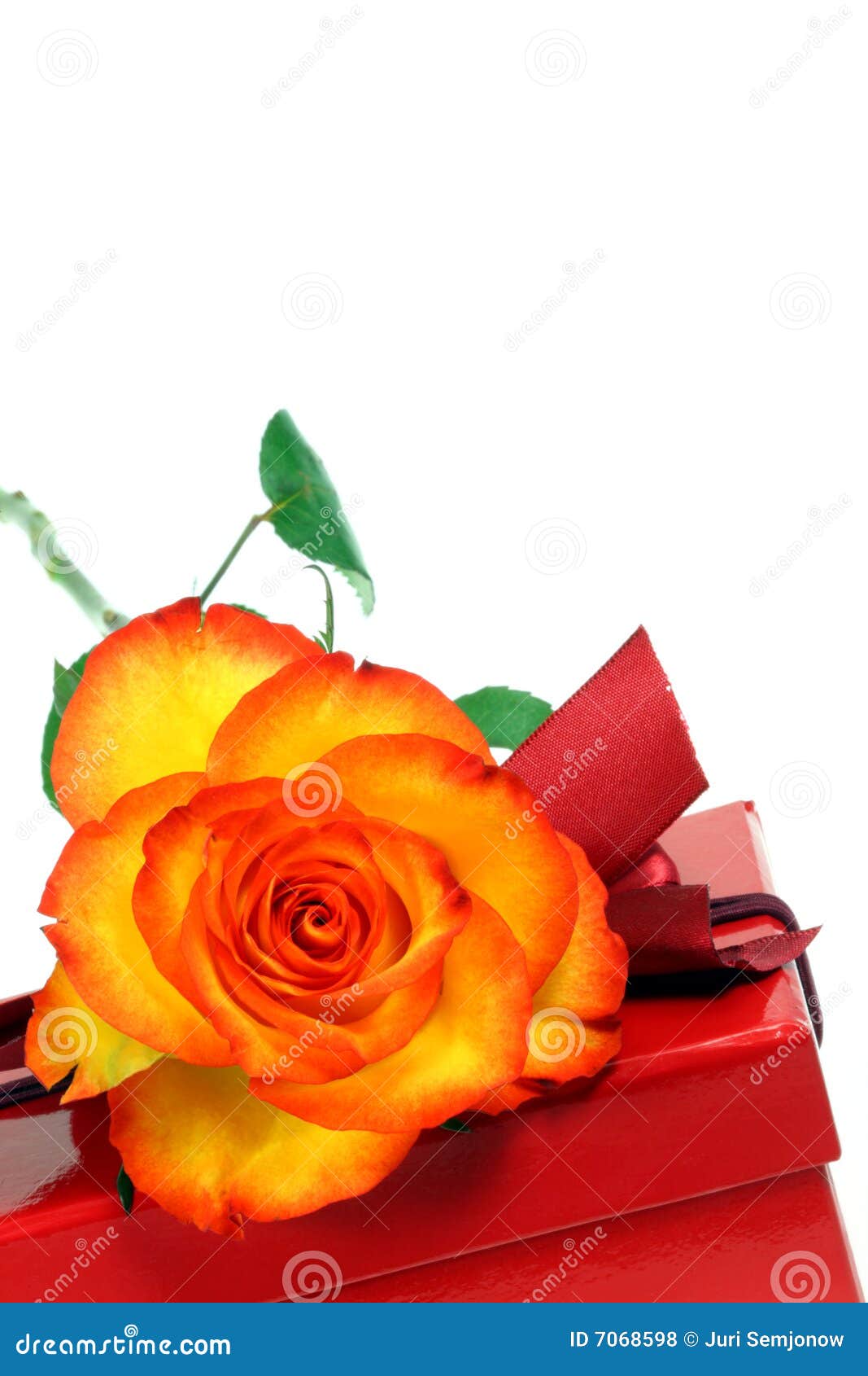 Rose and gift box. stock photo. Image of surprise, christmas - 7068598
