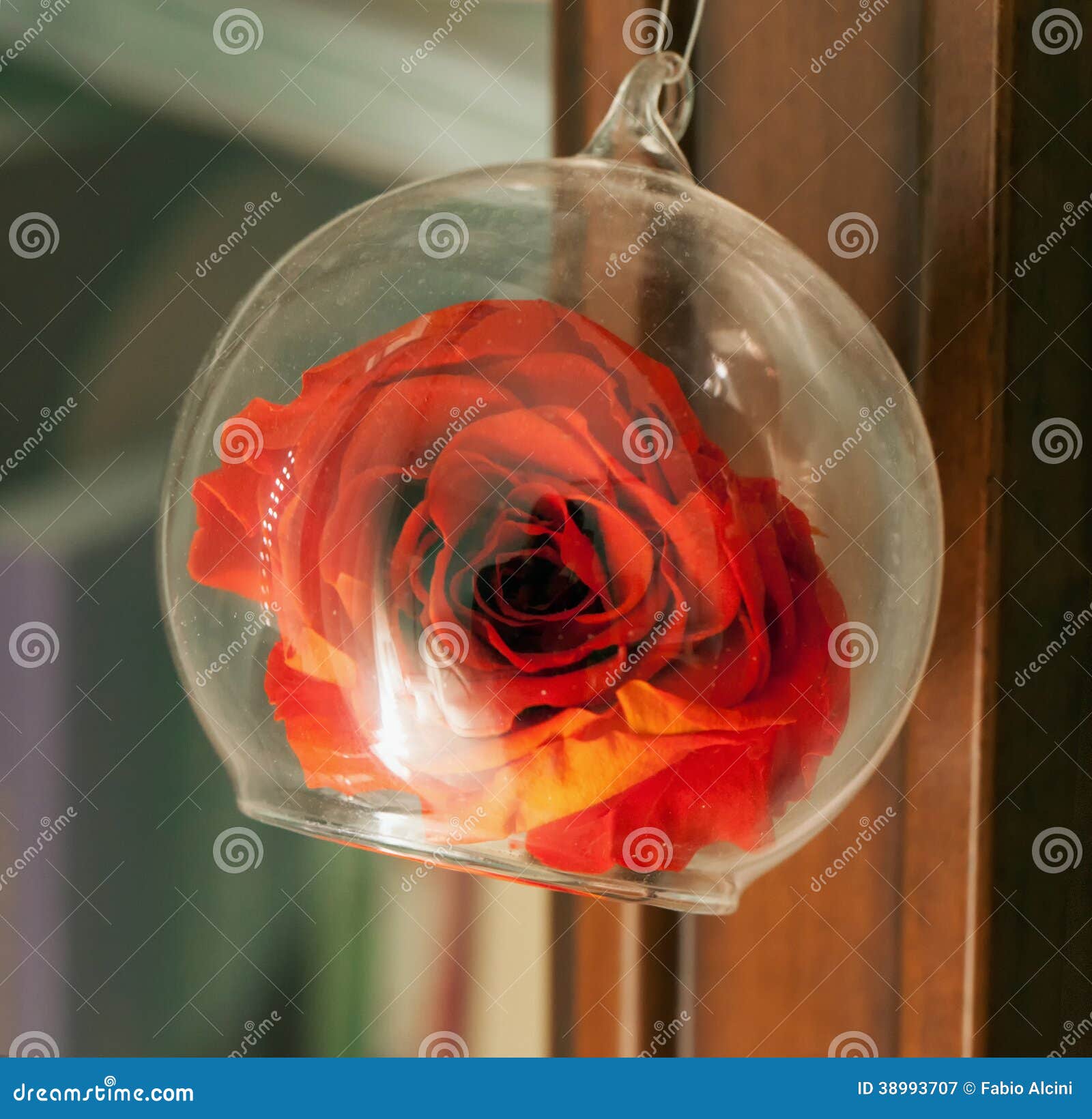 Rose in the glass stock image. Image of water, leaf, arrangement - 38993707