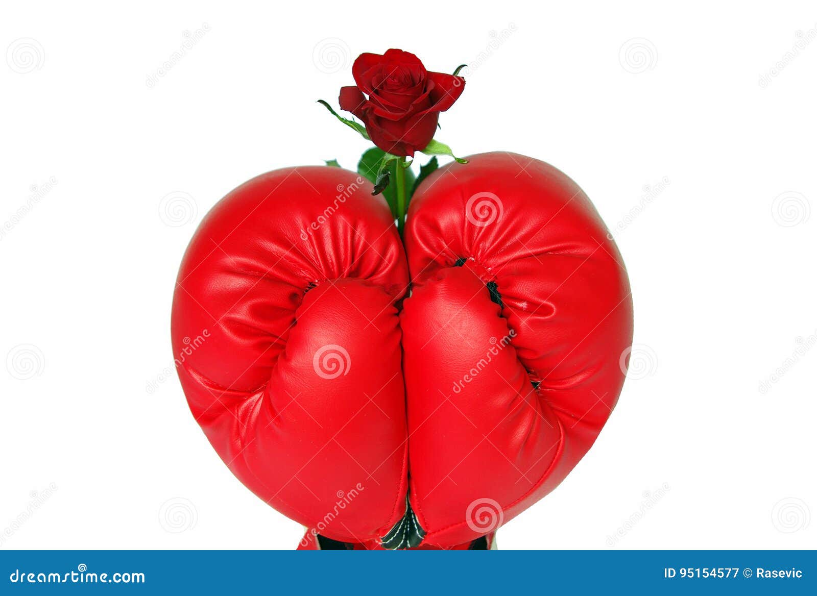 Rose & gloves stock image. Image of white, boxing - 95154577