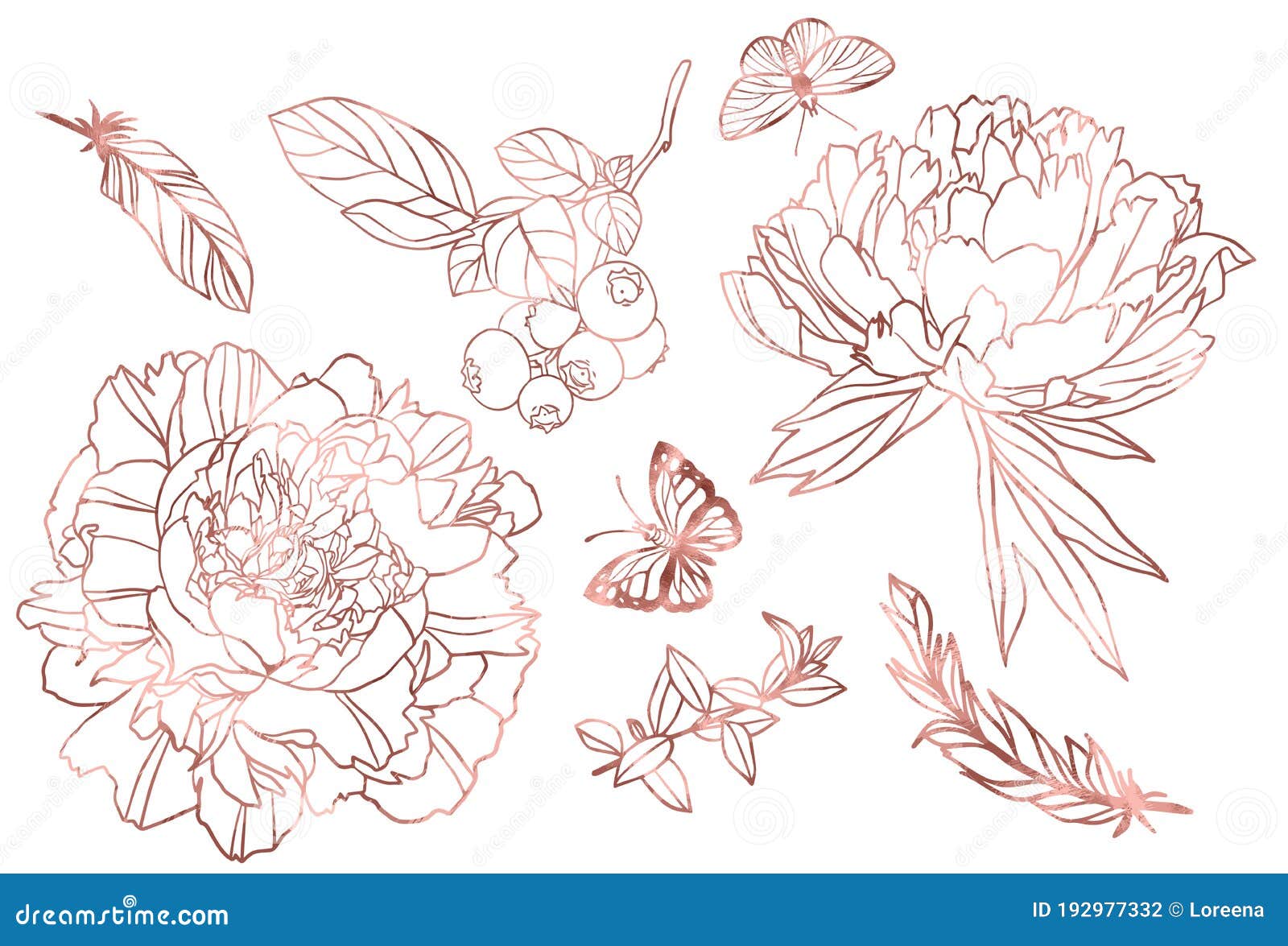 Rose Gold Elements Set, Hand Drawn Vector Stock Vector - Illustration ...