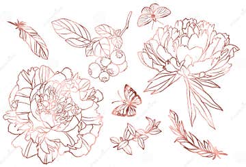 Rose Gold Elements Set, Hand Drawn Vector Stock Vector - Illustration ...