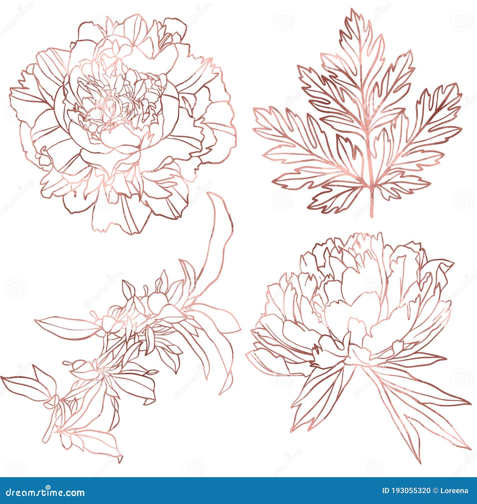 Rose Gold Elements Set, Hand Drawn Vector Stock Vector - Illustration ...