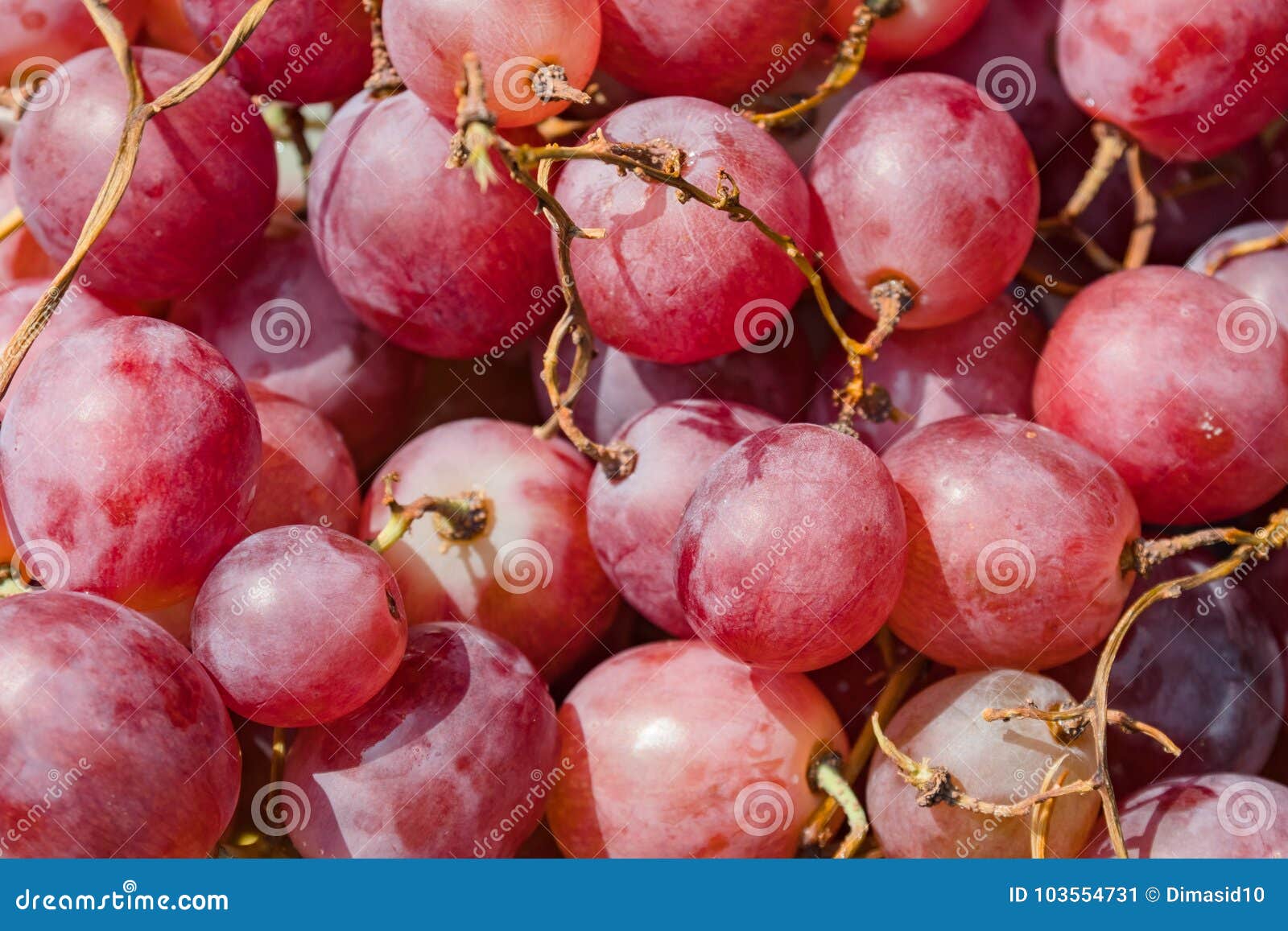 Red Grapes As Very Nice Fruit Background. Stock Image - Image of autumn ...