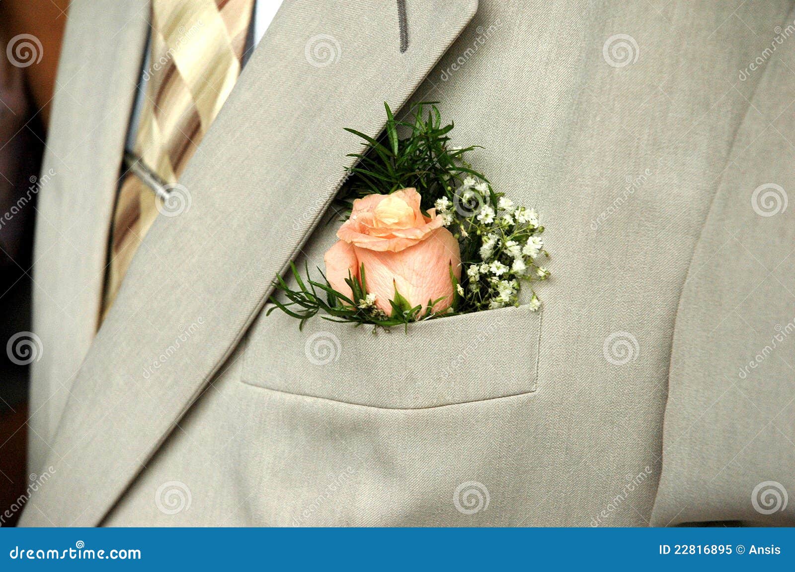 Rose on groom stock image. Image of wearing, wear, bridegroom - 22816895