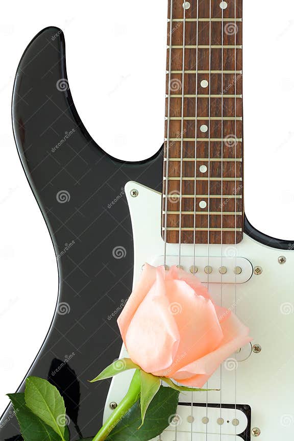 Rose guitar stock image. Image of beautiful, romantic - 16714607