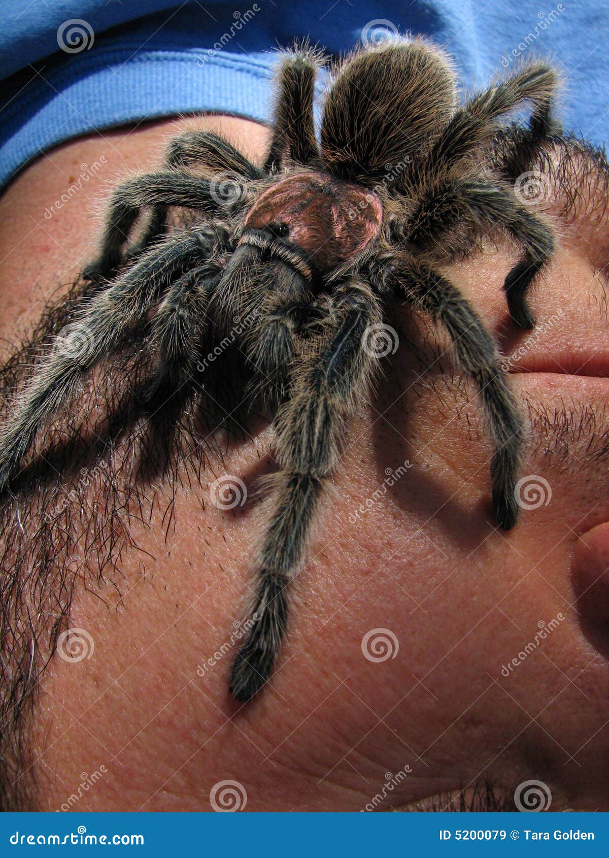 Stuck Rock Face Stock Photos - Free & Royalty-Free Stock Photos from ...