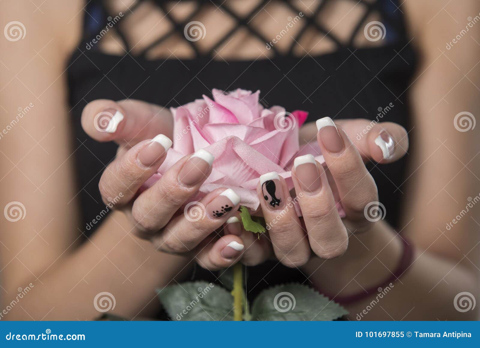 Rose in hand stock image. Image of objects, beautiful - 101697855