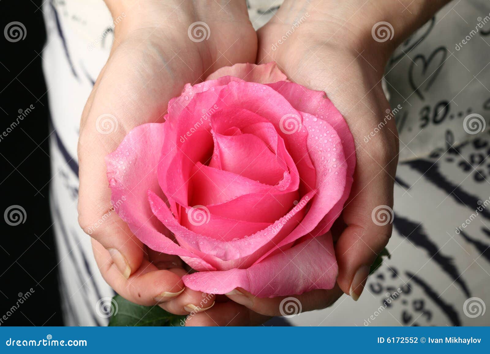 Rose in hands stock photo. Image of hands, color, romance - 6172552