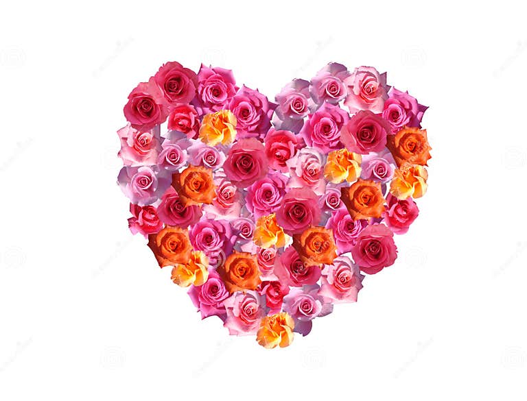 Rose hart stock image. Image of green, happiness, celebration - 22937597