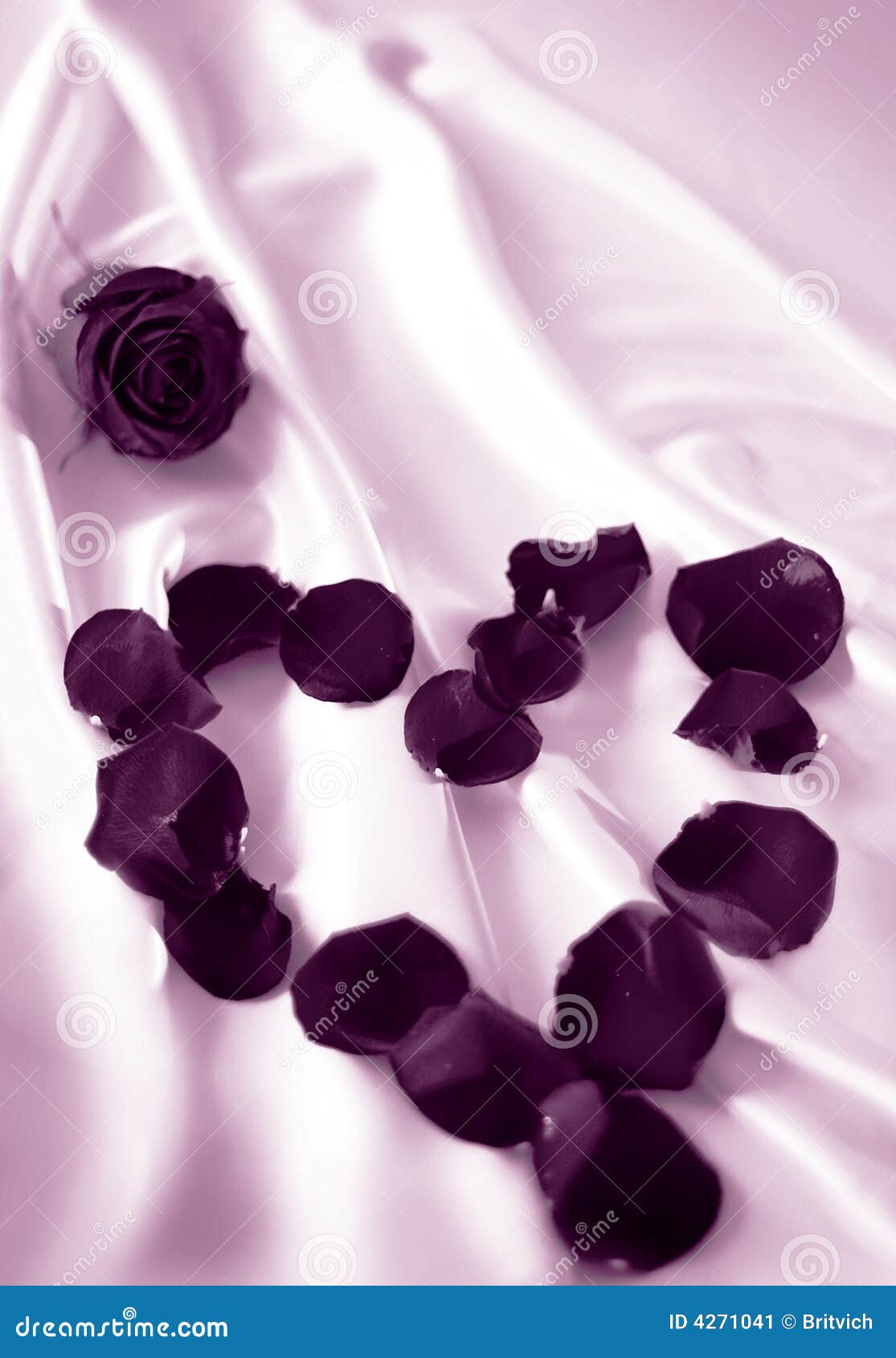 Rose heart stock image. Image of bouquet, beauty, florist - 4271041