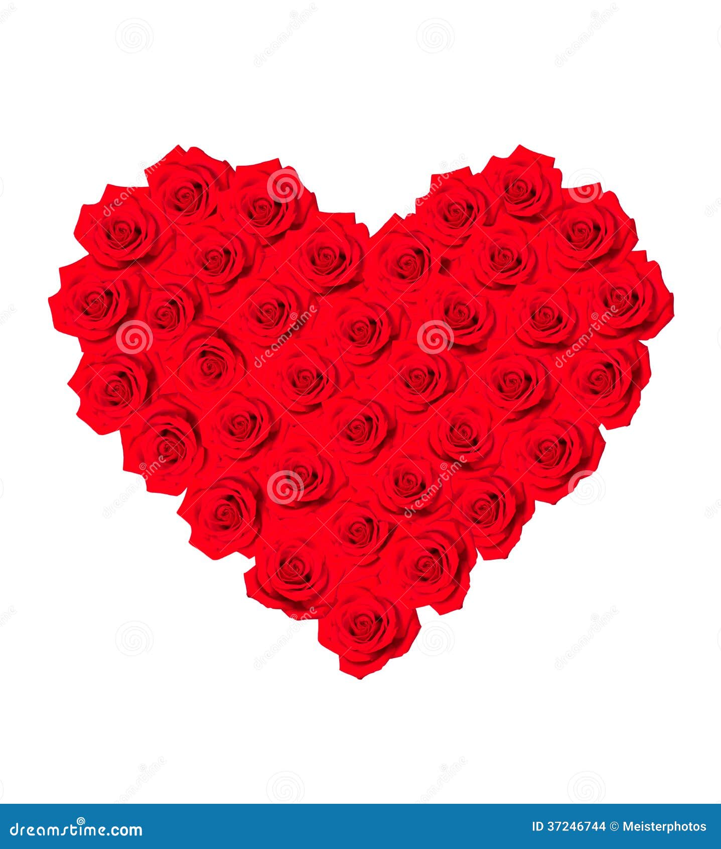 Rose heart on white stock photo. Image of design, valentine - 37246744