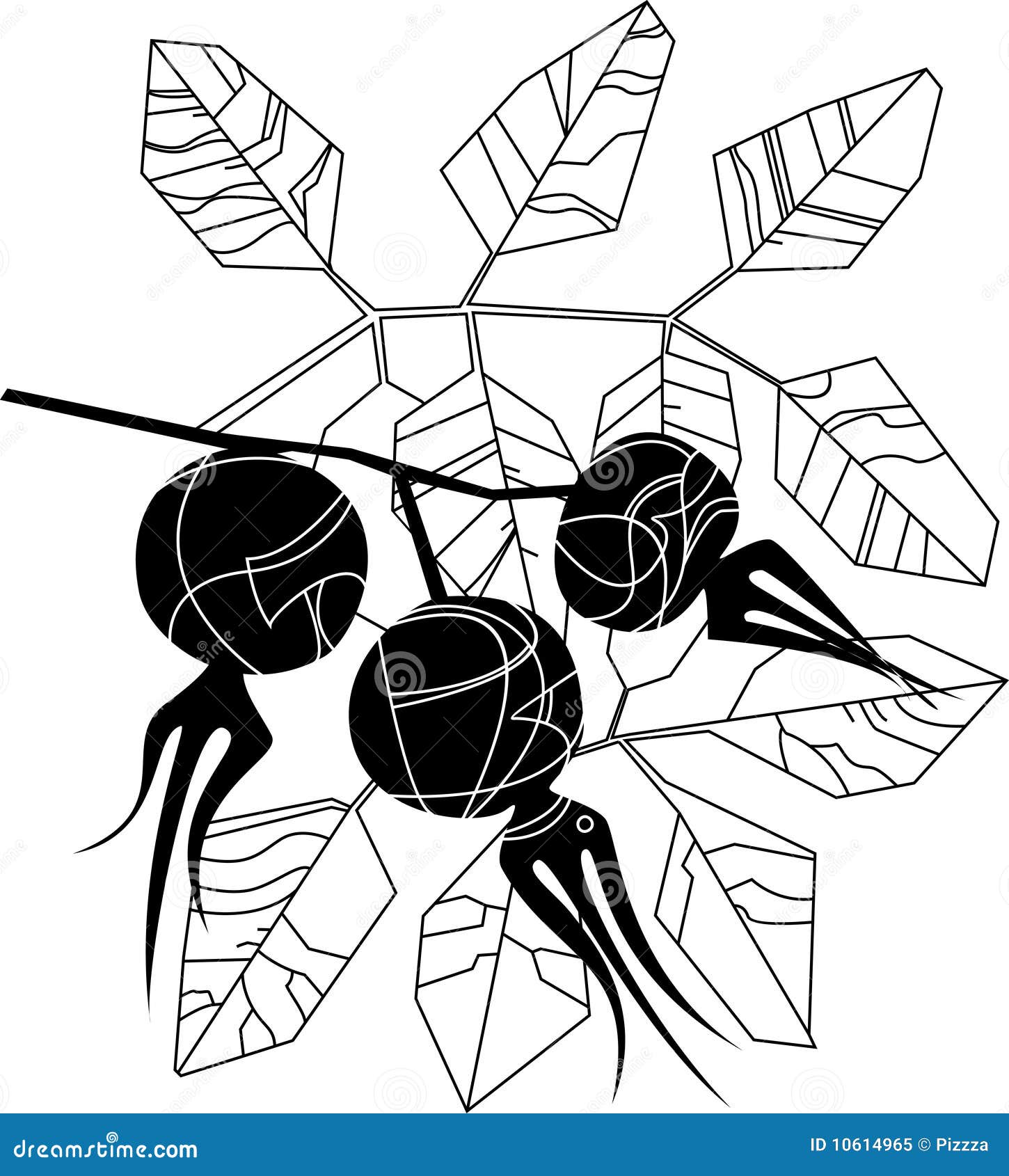 Rose hip stock vector. Illustration of design, element - 10614965