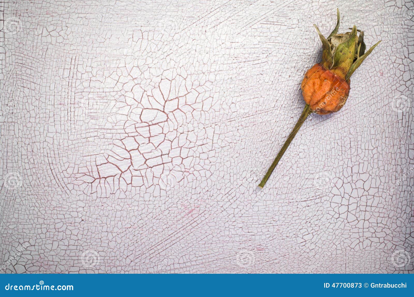 Crackled Paint Wall Stock Image | CartoonDealer.com #10205503