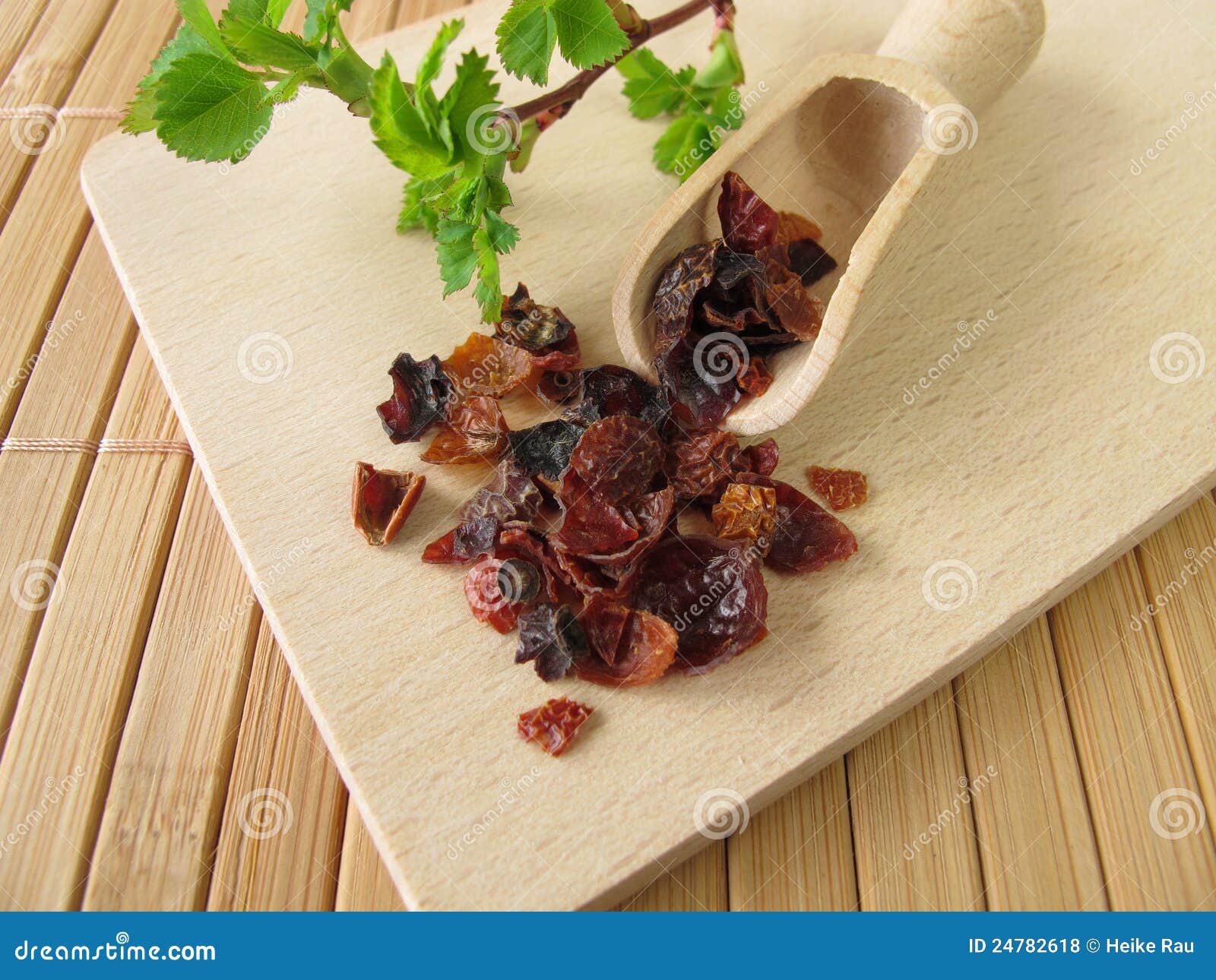 Rose Hip Fruits, Rosae Pseudofructus Stock Photo - Image of drugs ...