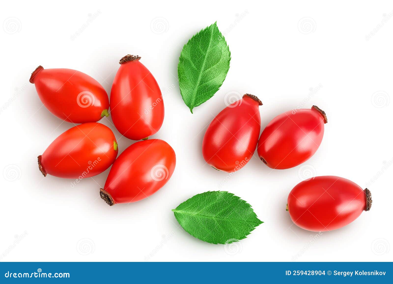 Rose Hip Isolated on a White Background with Full Depth of Field. Top ...