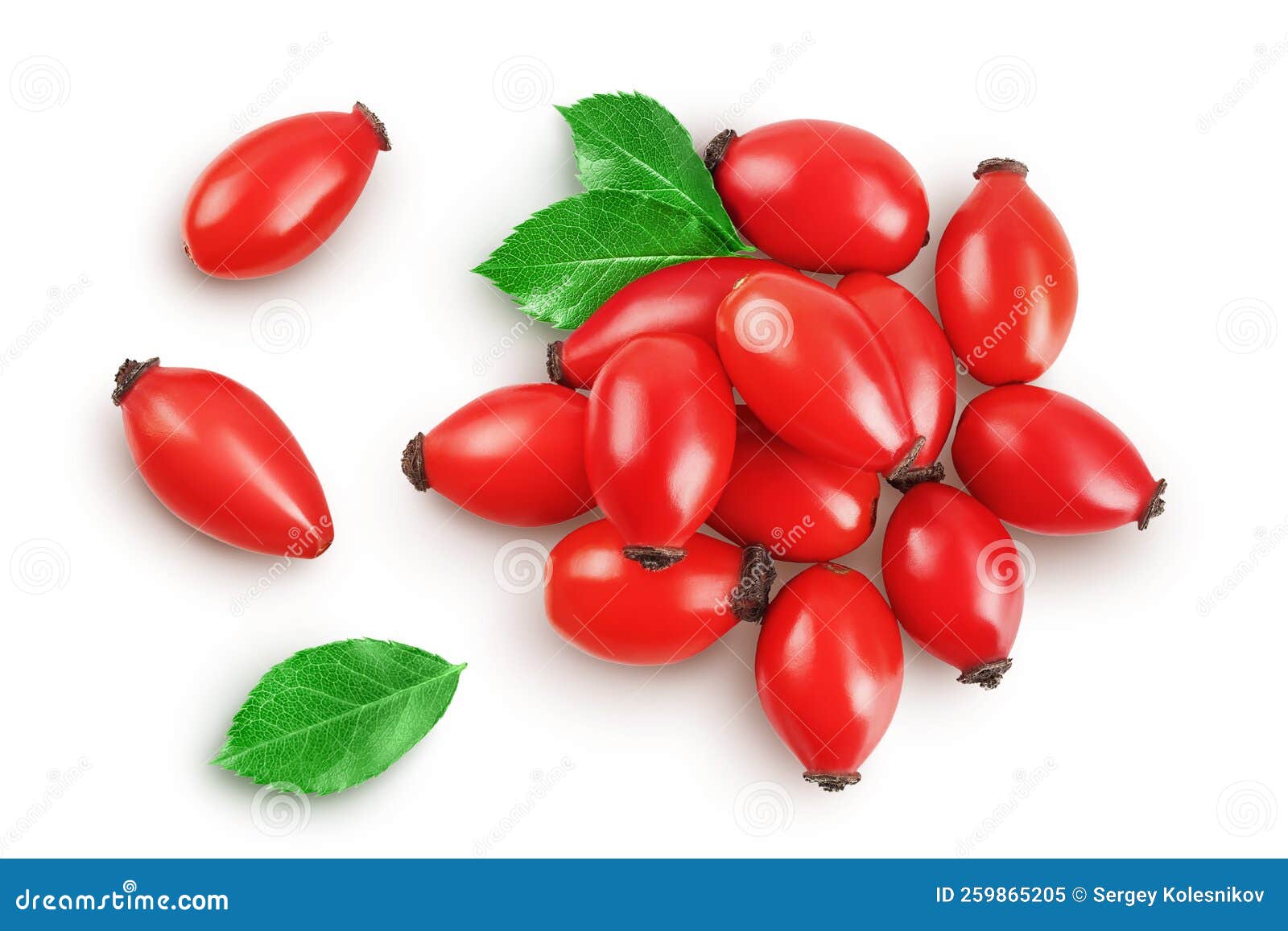 Rose Hip Isolated on a White Background with Full Depth of Field. Top ...