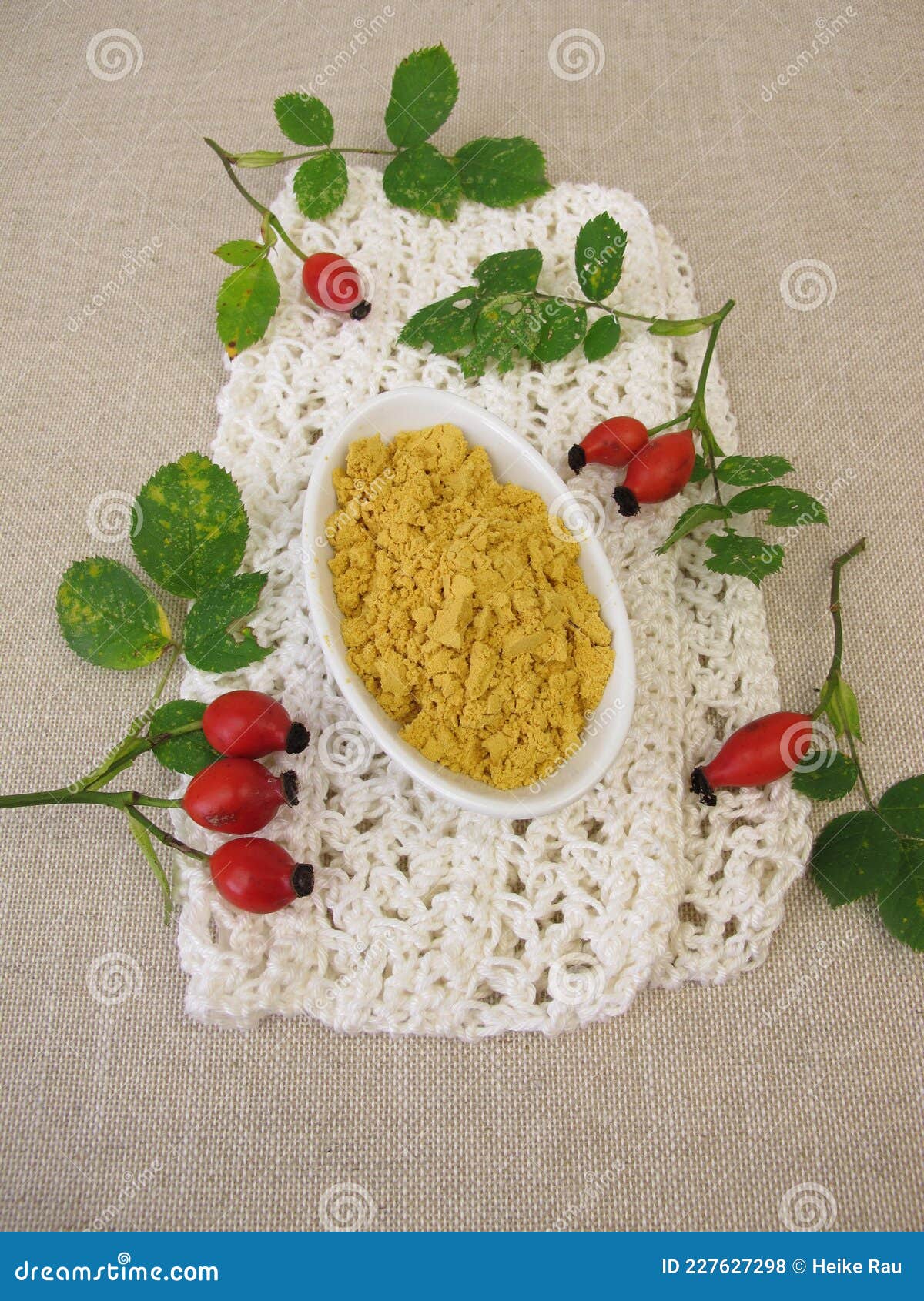 Rose Hip Powder from the Rose Hips of the Wild Rose Stock Photo - Image ...