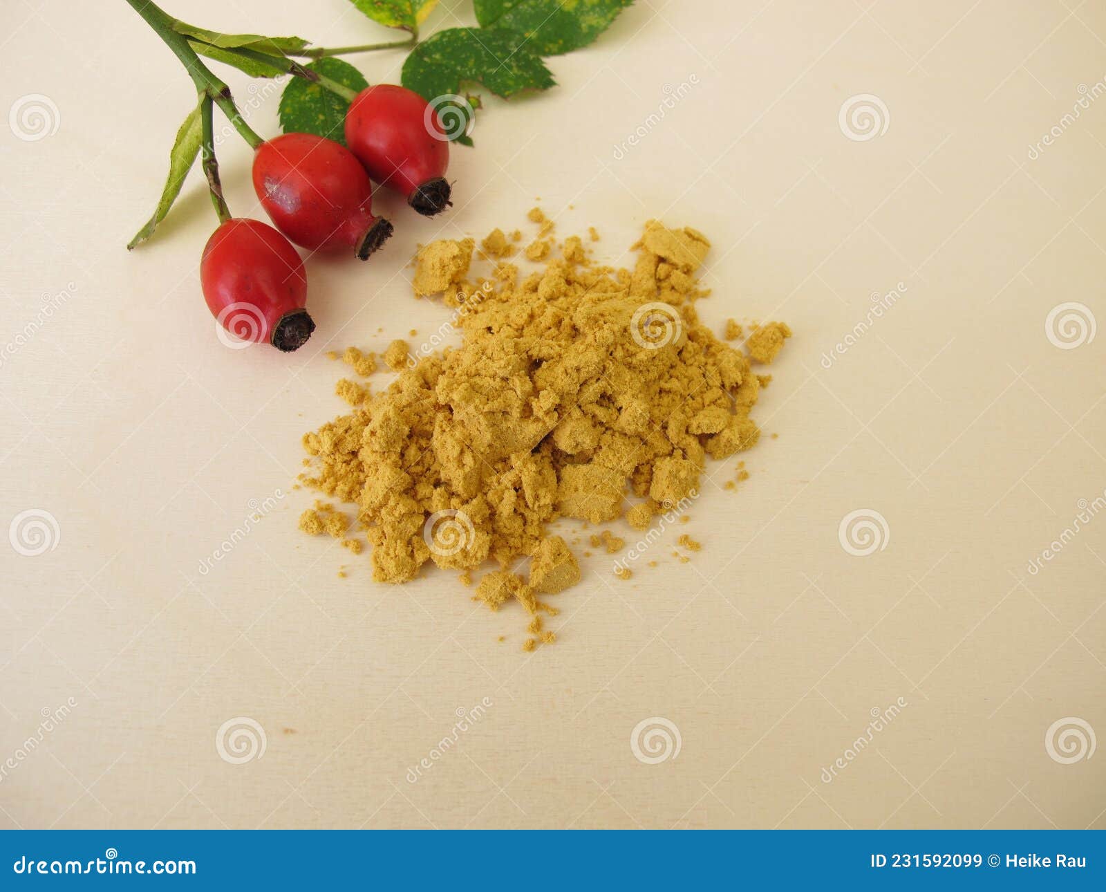 Rose Hip Seed Powder from the Dog Rose Stock Image - Image of powder ...