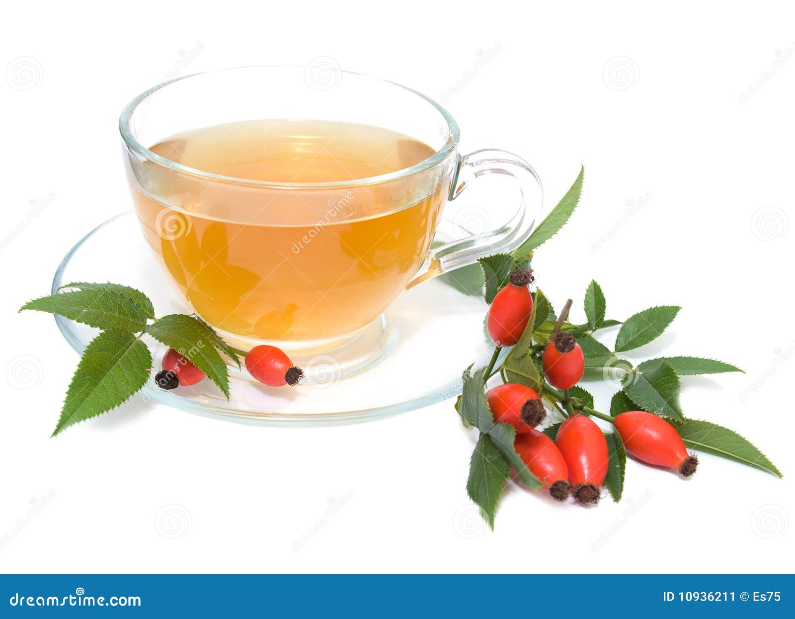 Rose hip tea stock image. Image of afternoon, wildlife - 10936211