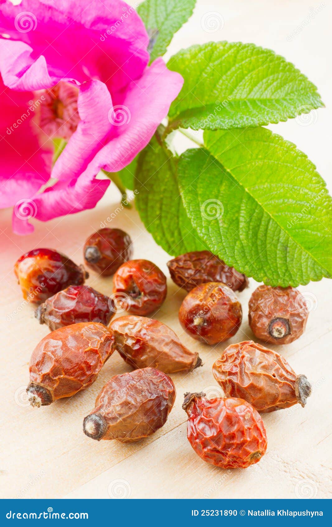 Rose Hips Berry and Rose-hip Flower Stock Photo - Image of nature ...