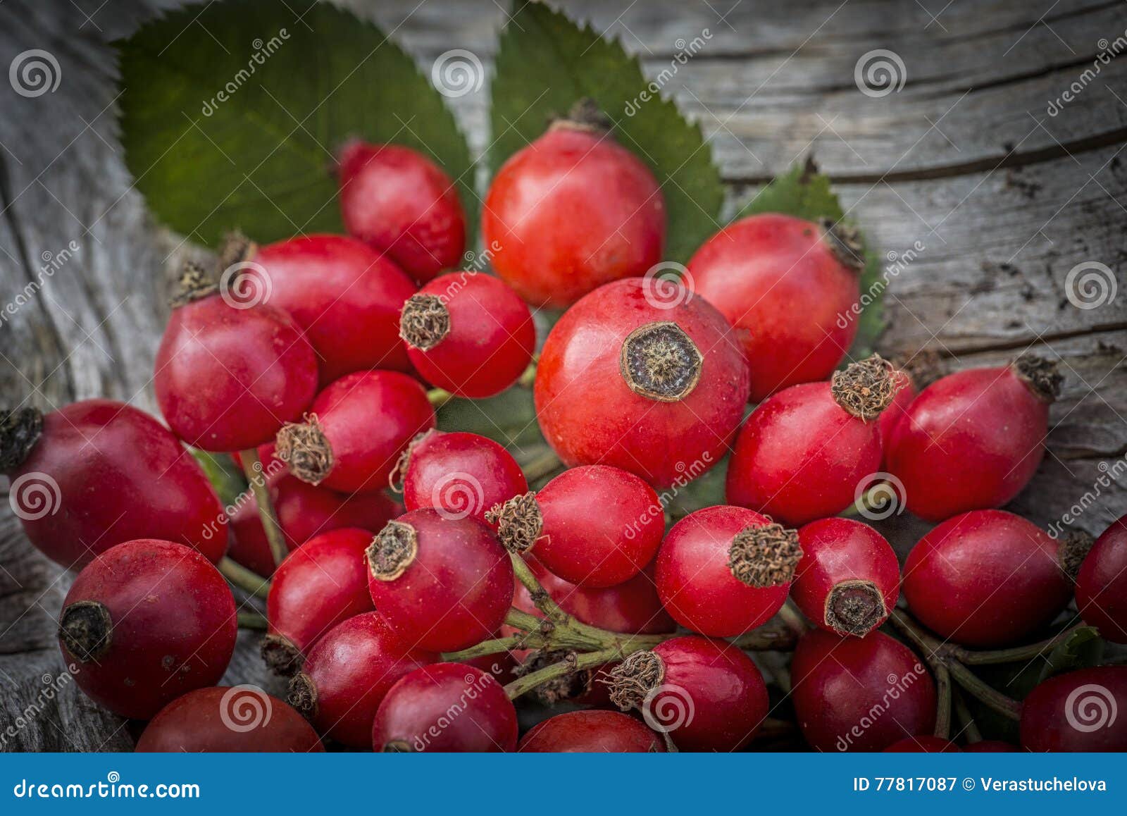 Rose hips close up stock image. Image of healthy, fall - 77817087