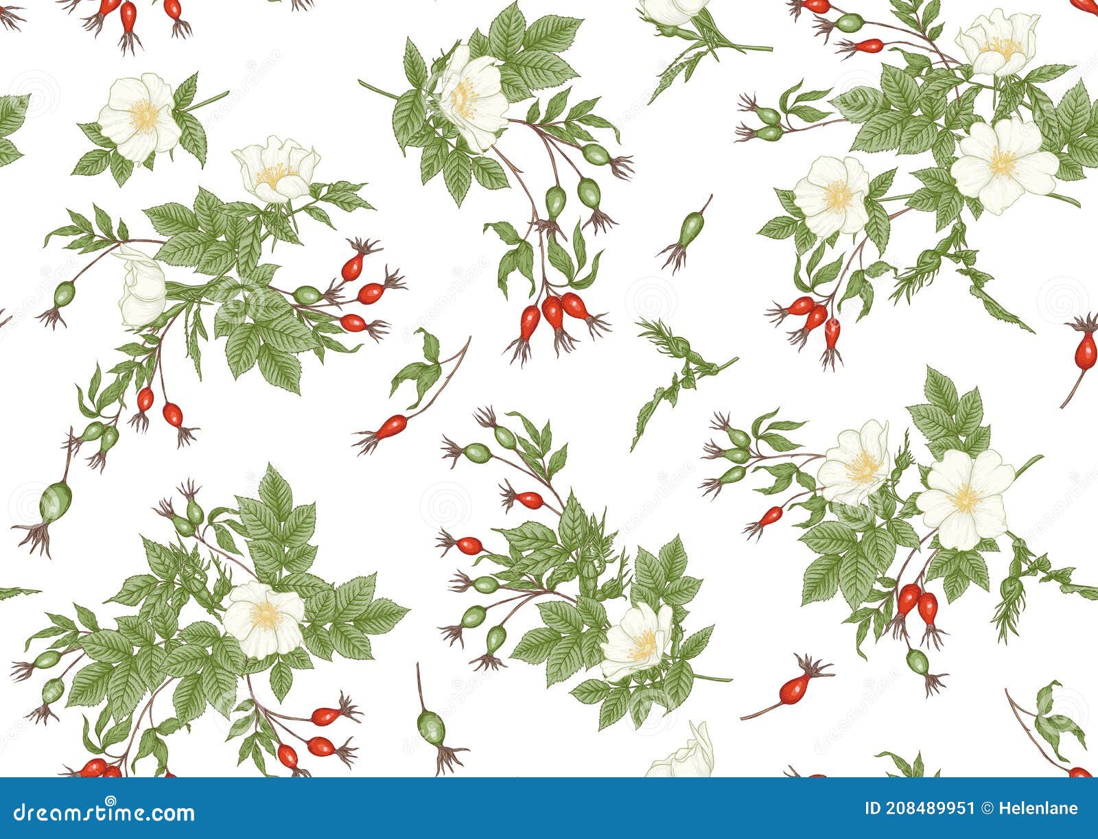 Rose Hips with Flowers and Berries Seamless Pattern Stock Vector ...