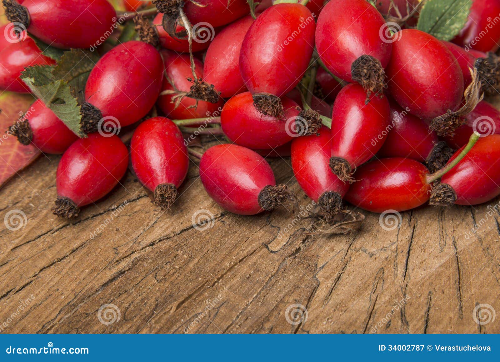 Rose hips stock image. Image of antioxidant, berries - 34002787