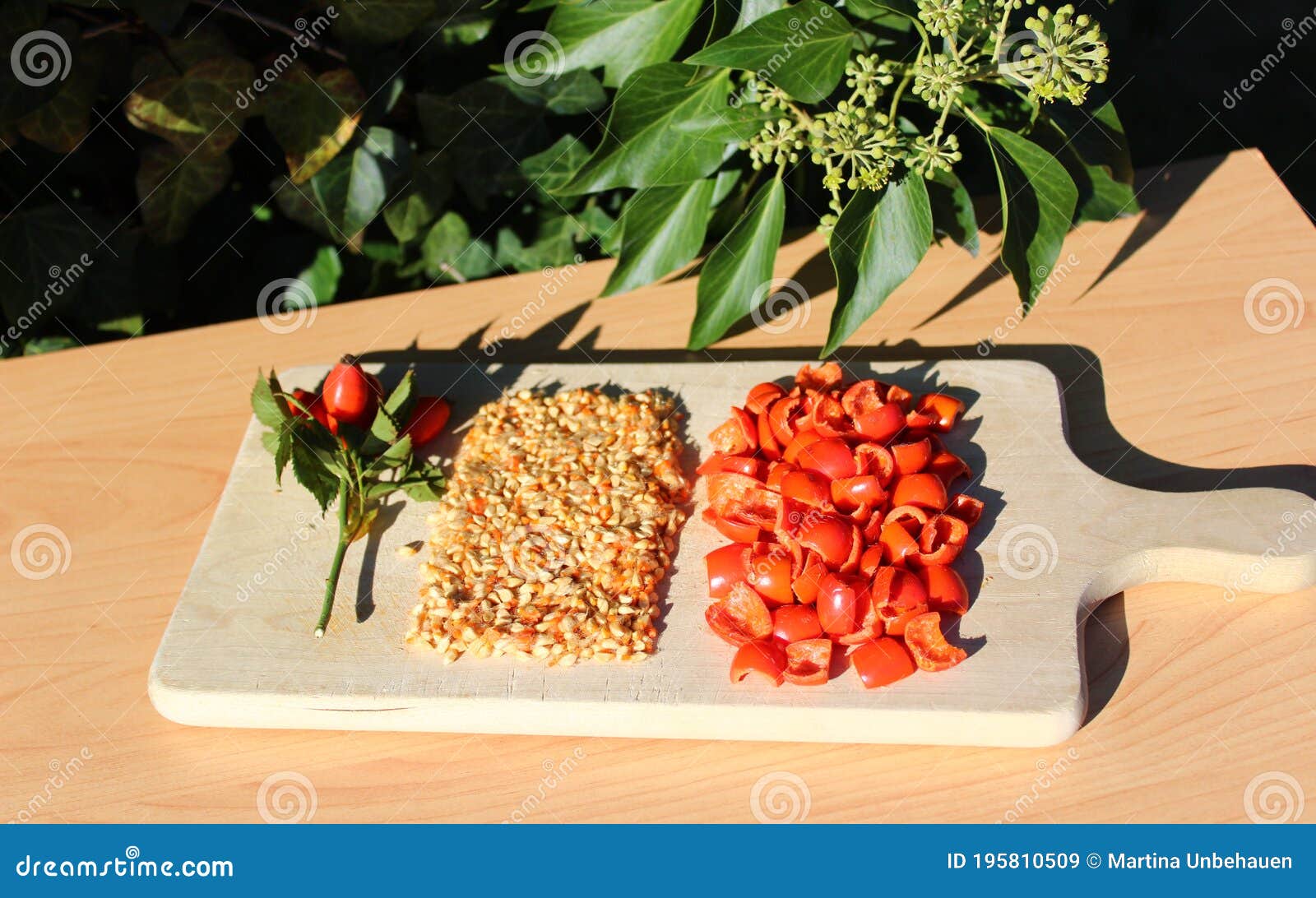 Rose Hips and Rose Hip Shells in Front of an Ivy Stock Image - Image of ...