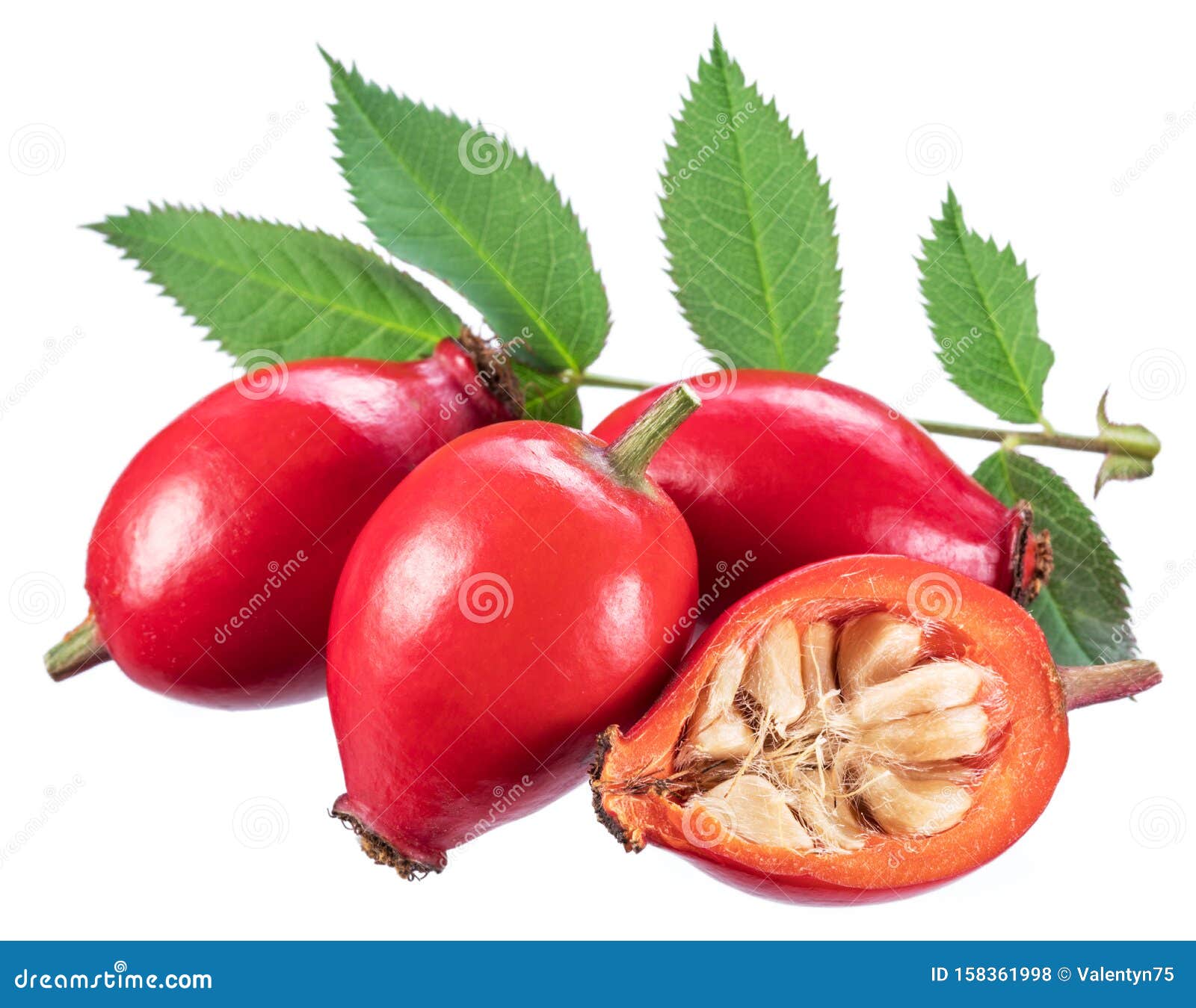 Rose-hips or Wild Rose Berries Isolated on a White Background Stock ...