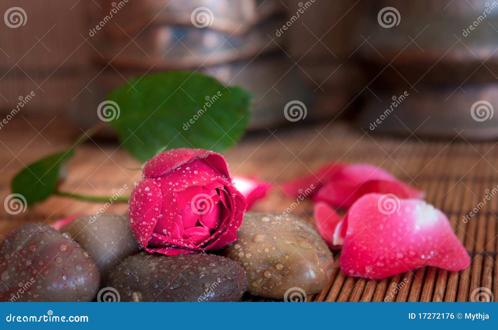 Rose on hot rocks stock photo. Image of love, relaxation - 17272176