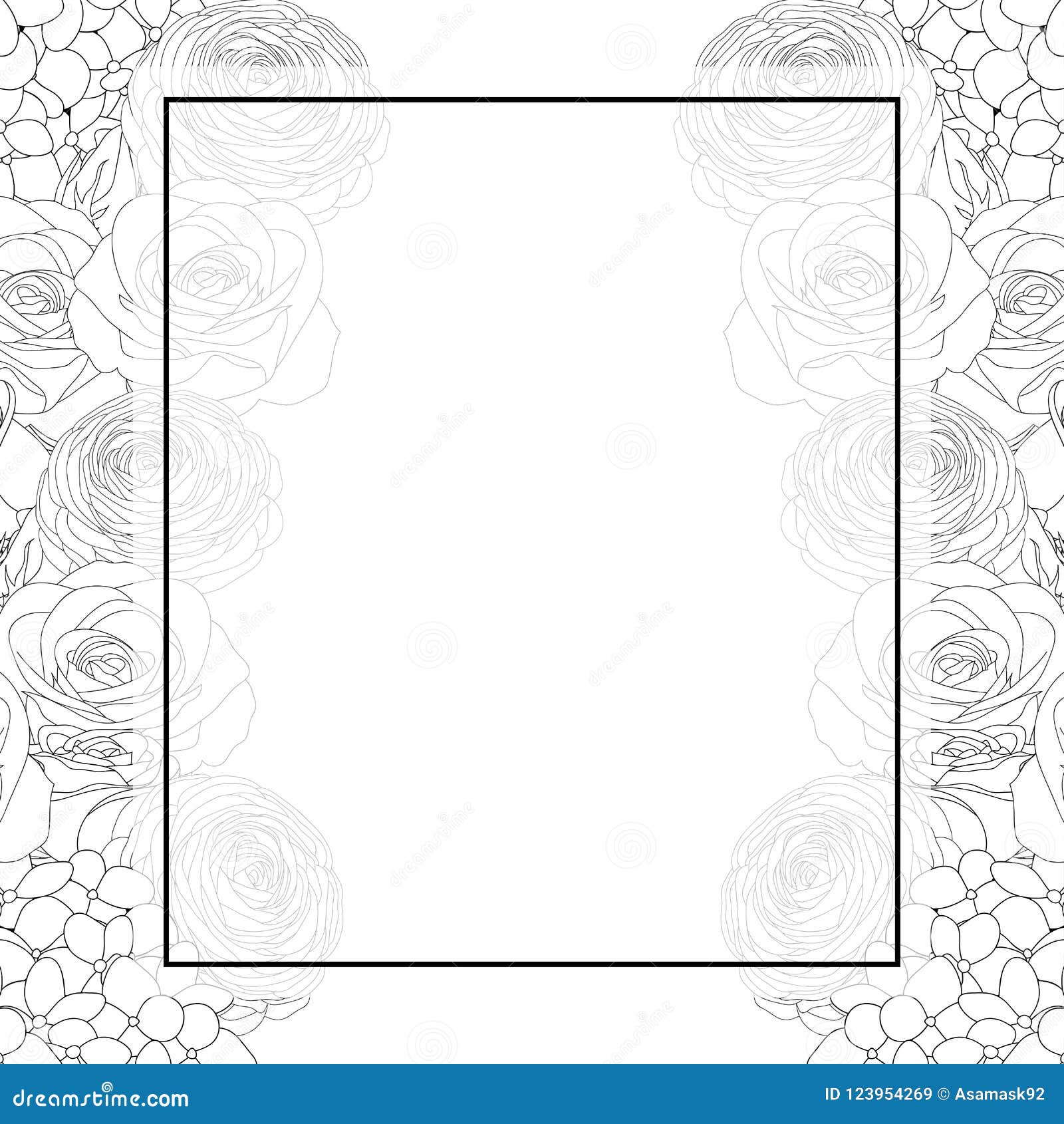 Rose, Hydrangea And Ranunculus Outline Banner Card Border. Isolated On ...