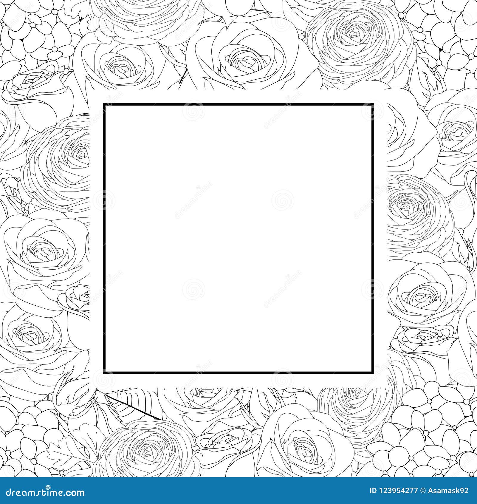 Rose, Hydrangea and Ranunculus Outline Banner Card Border. Isolated on ...