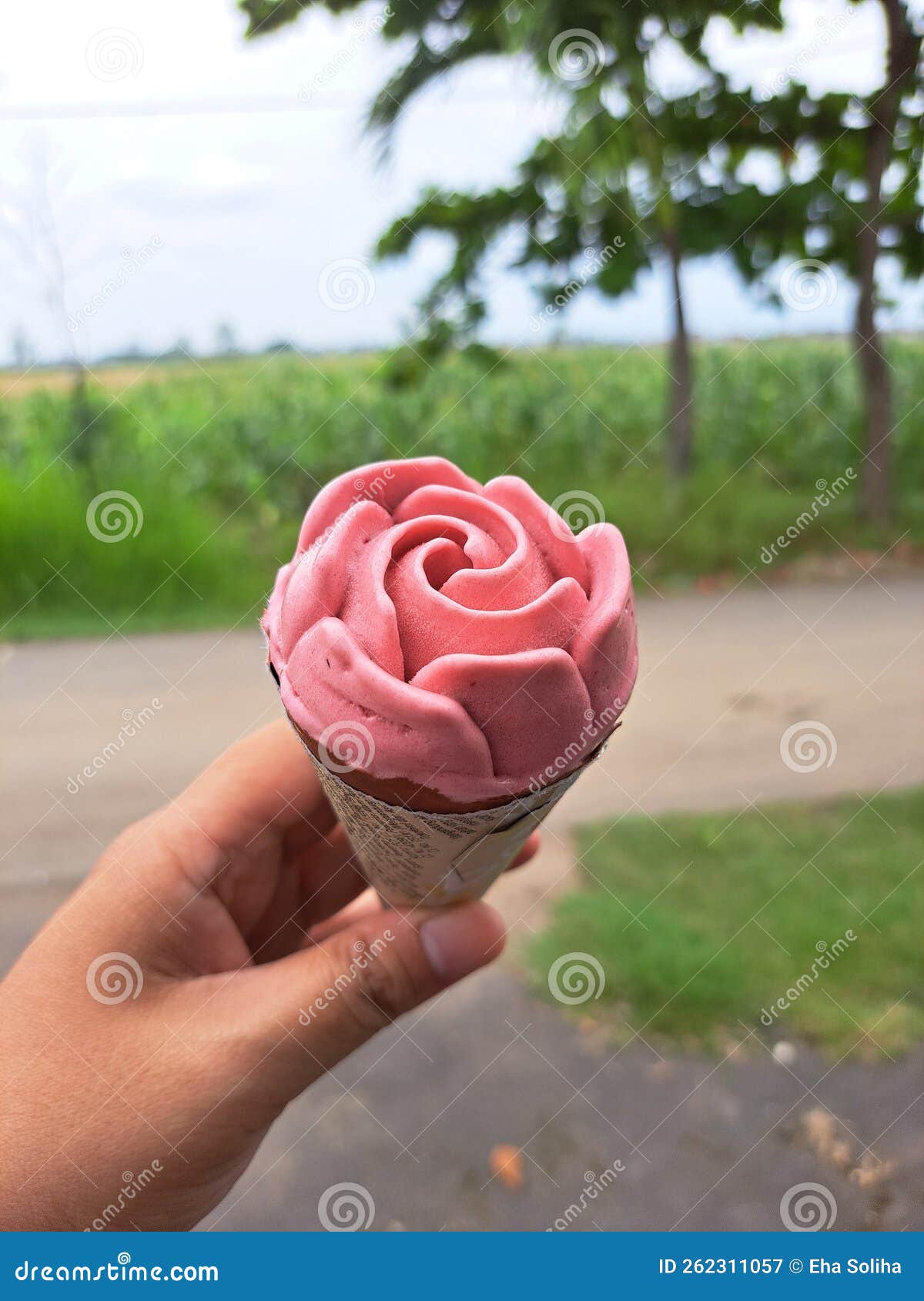Rose Ice Cream stock image. Image of food, blossom, flower - 262311057