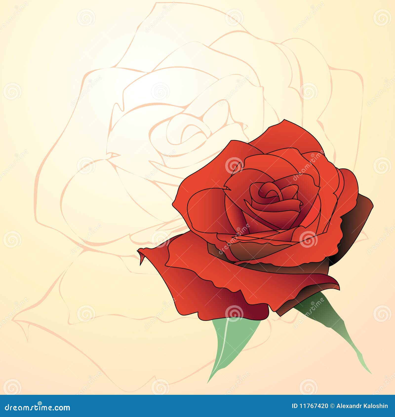 Rose illustration stock vector. Illustration of plant - 11767420