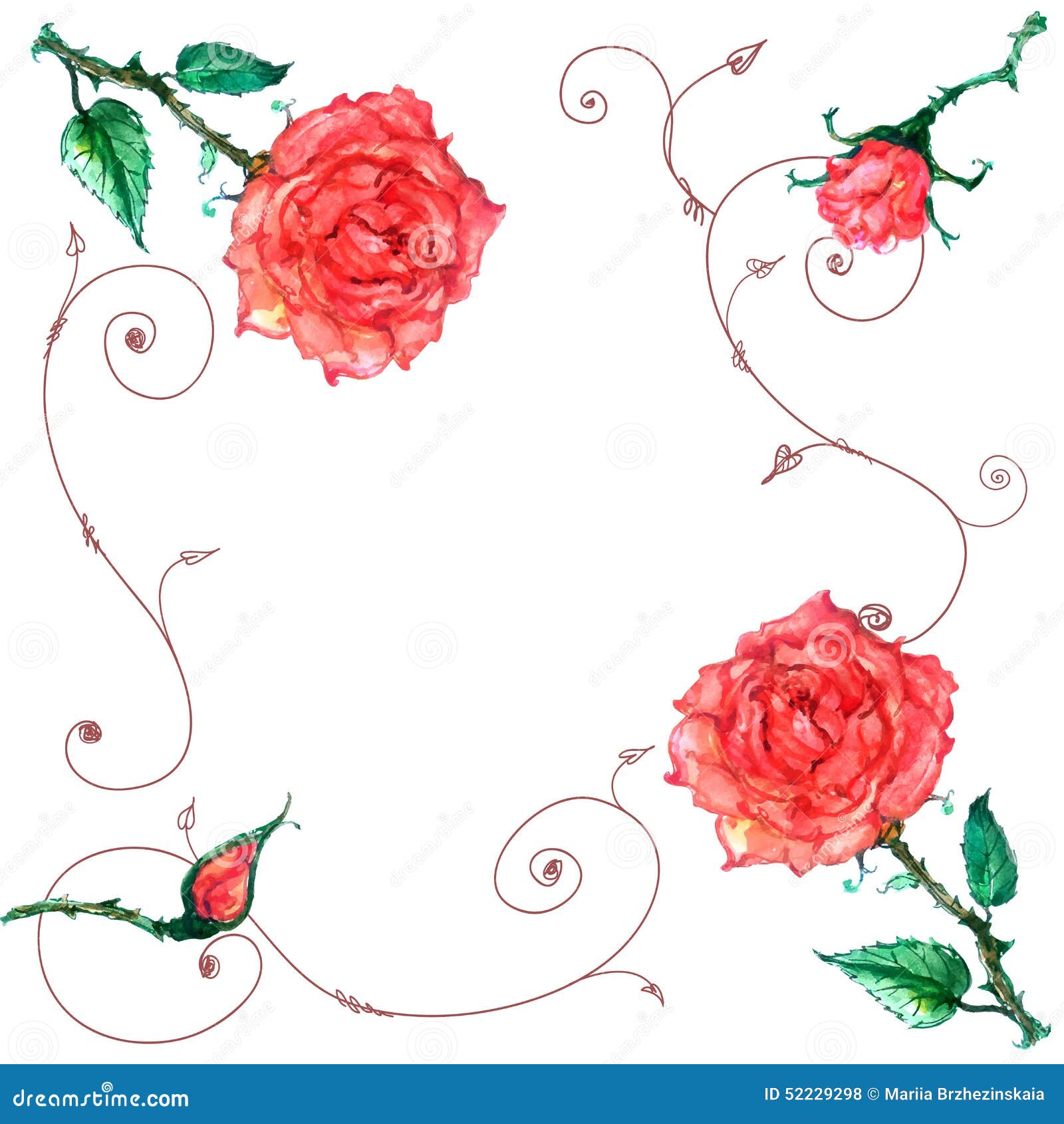 Rose in im altem Stil vektor abbildung. Illustration von rosen - 52229298