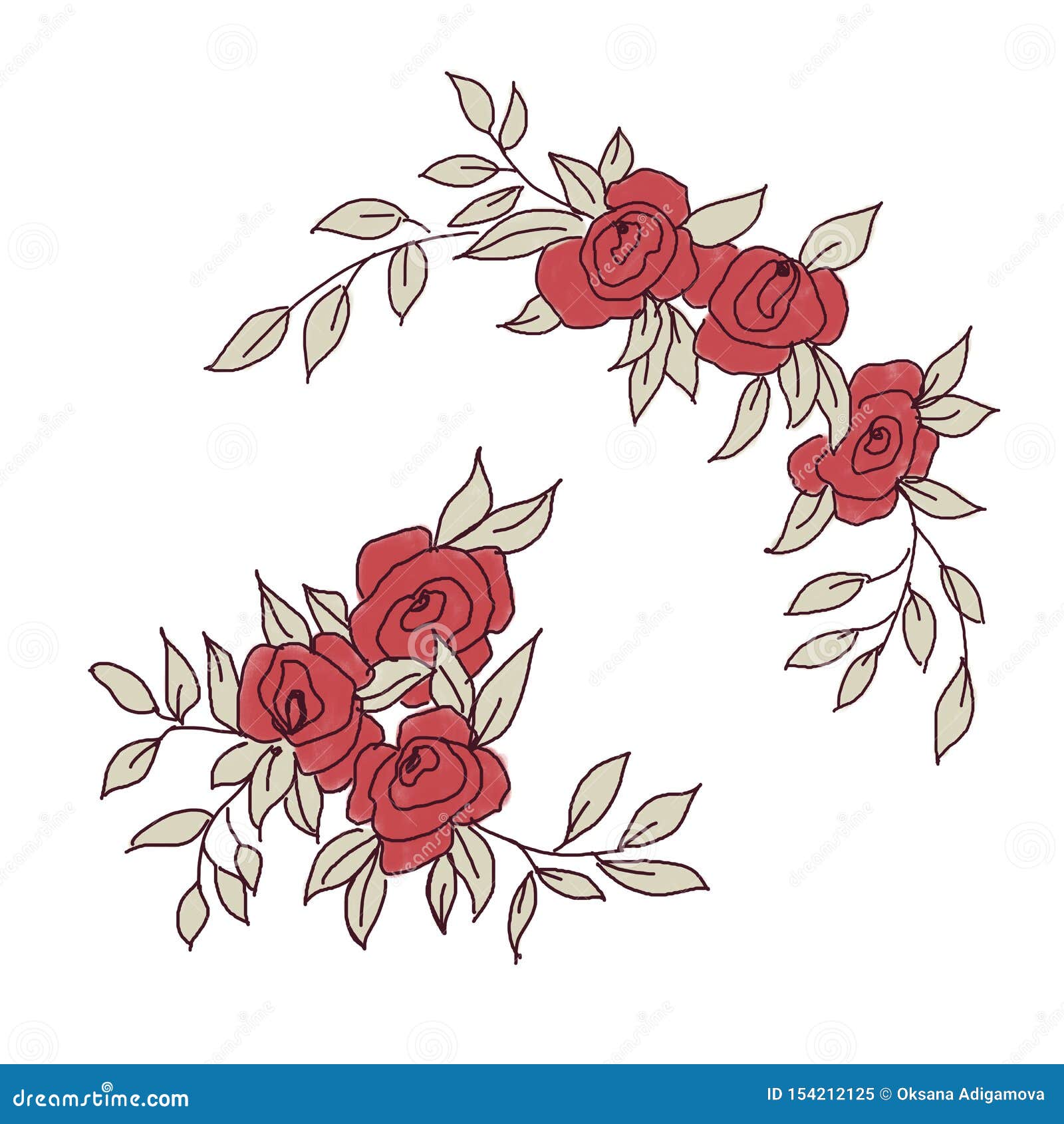 The Rose. Isolated on White Background Stock Illustration ...