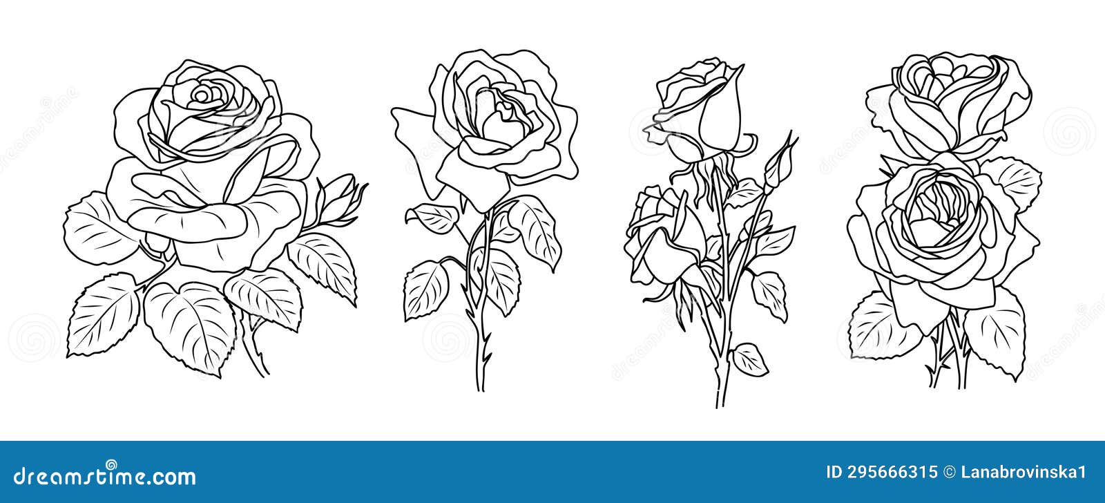 Rose June Birth Month Flower Vector Set Isolated. Stock Vector ...