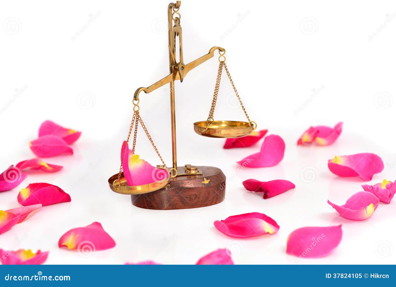 293 Rose Scales Photos - Free & Royalty-Free Stock Photos from Dreamstime