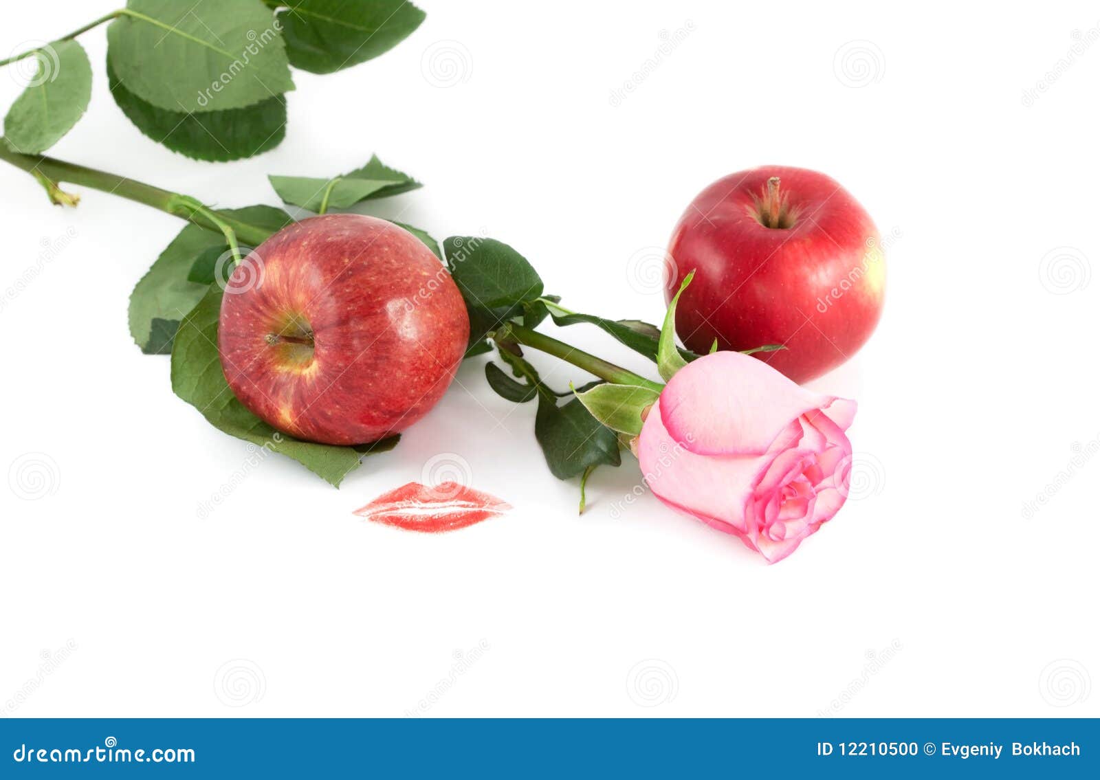 Rose, kiss and apples stock photo. Image of food, green - 12210500