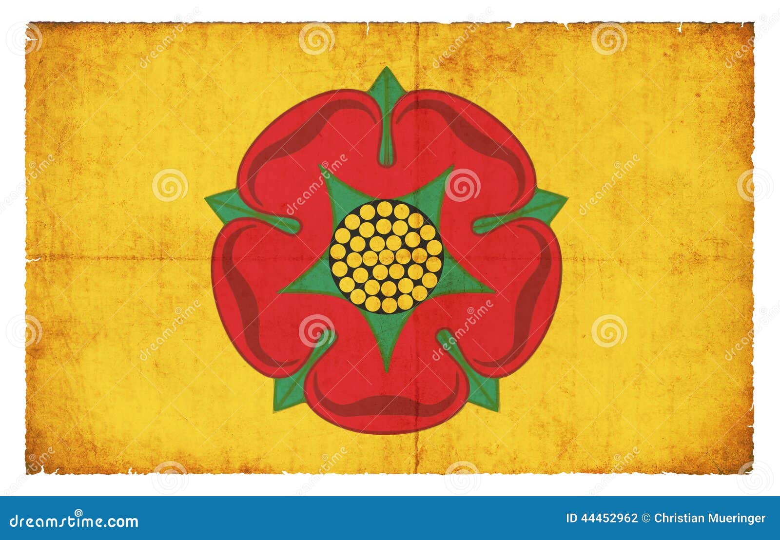 Lancashire Rose Stock Illustrations – 81 Lancashire Rose Stock ...