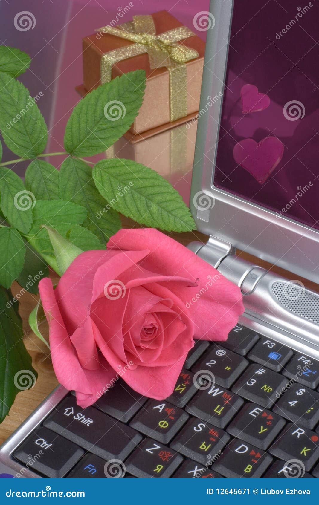 Rose on laptop stock image. Image of valentine, single - 12645671