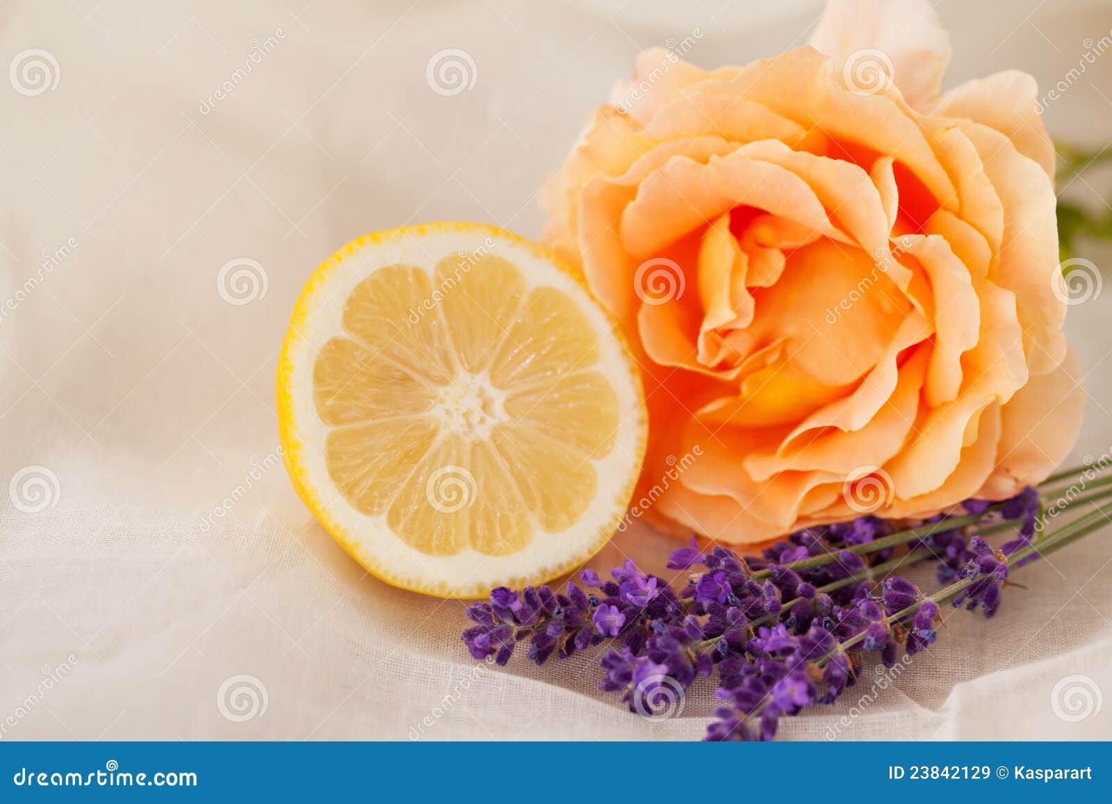 Rose, Lavande Et Citron Aromatherapy Image stock - Image du lifestyle ...