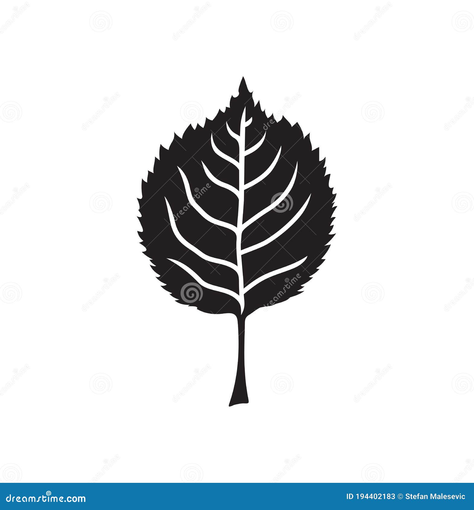 Rose leaf stock vector. Illustration of leaf, card, outline - 194402183