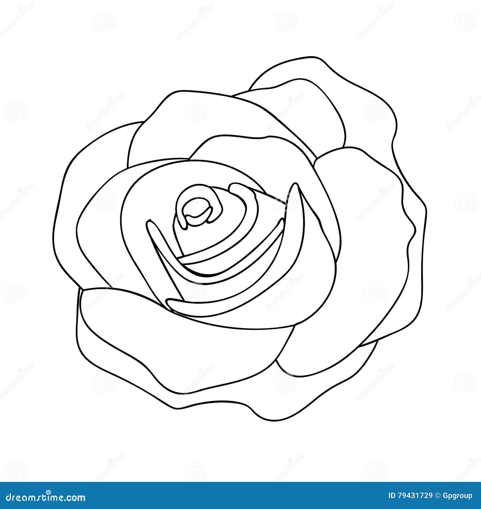 Rose line drawing image stock vector. Illustration of banner - 79431729