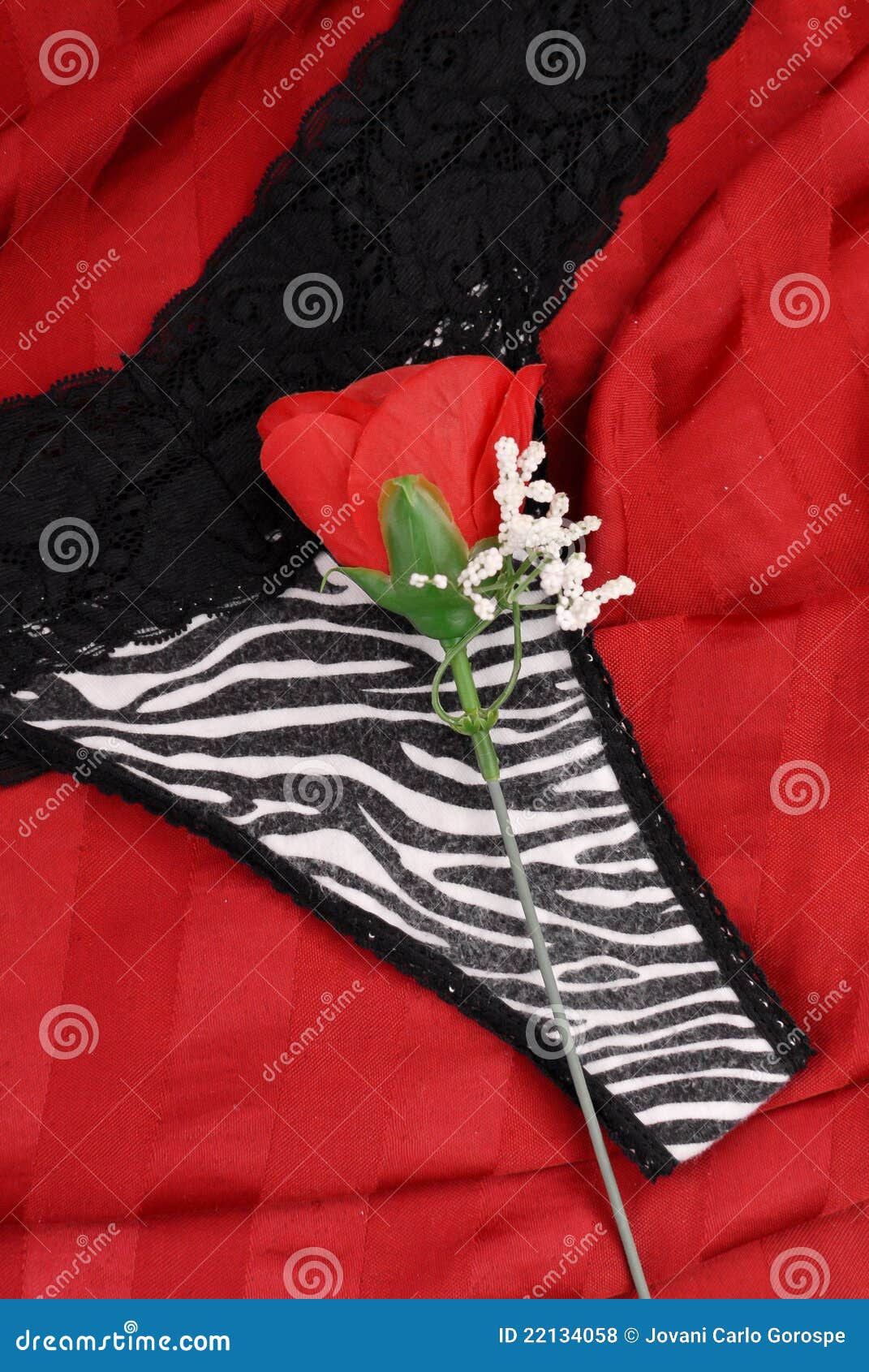 Rose with Lingerie stock photo. Image of adults, flower - 22134058