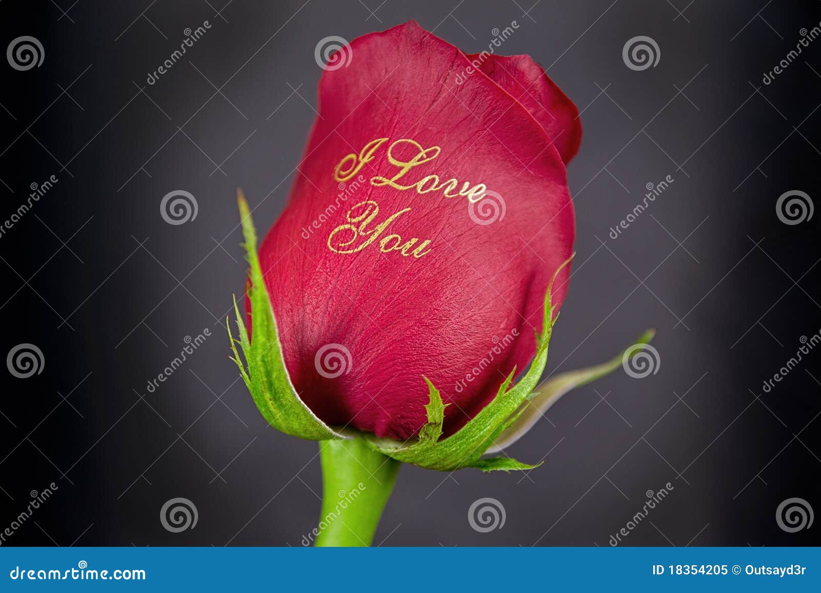 Rose Love stock image. Image of petals, subtitles, gift - 18354205