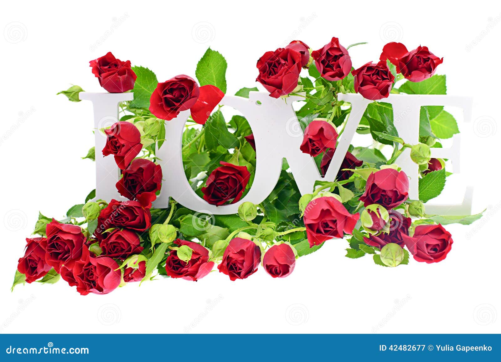 Rose with LOVE Word Isolated on White Background Stock Image - Image of ...