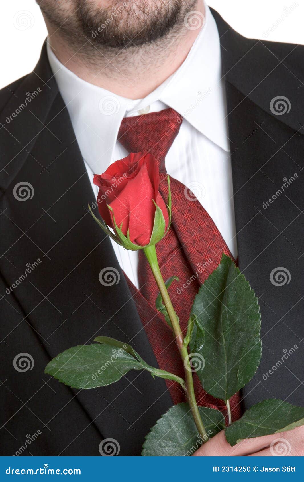 Rose Man stock photo. Image of holding, roses, flower - 2314250
